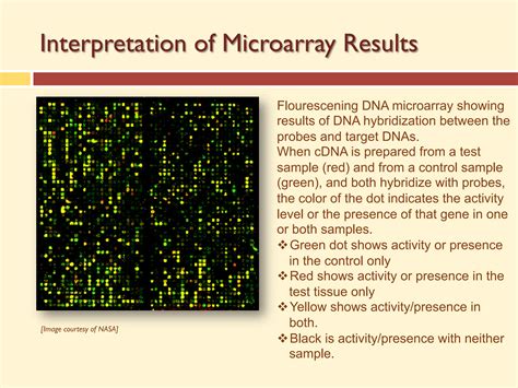 dna microarray presentation dna fingerprinting dna biotechnology pdf