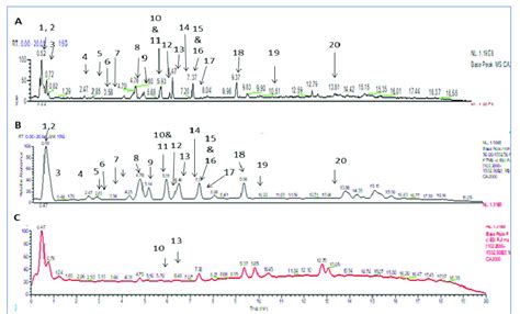 Lcmsms Chromatograms Of Leaf Ethanolic Extract Of Centella Asiatica