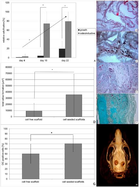Osteoinductive Potential Of Cells Seeded Plla Nanofiber Scaffolds In