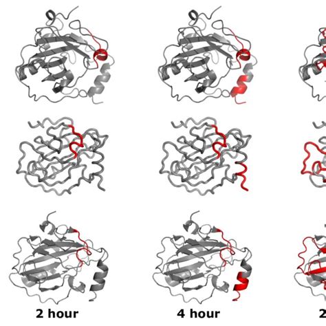 comparison of alphafold2 rosettafold and pdb structure of