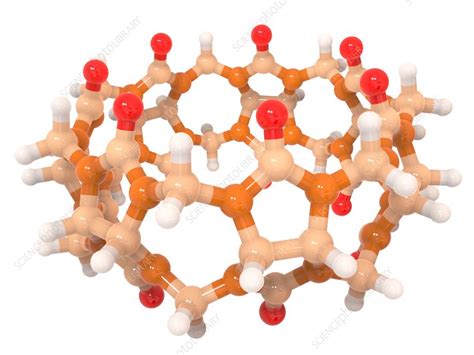 Cucurbituril Cyclic Macromolecule Molecular Model Stock Image C038