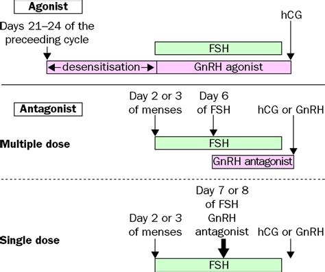 Gonadotropin Releasing Hormone Receptor Antagonists The Lancet