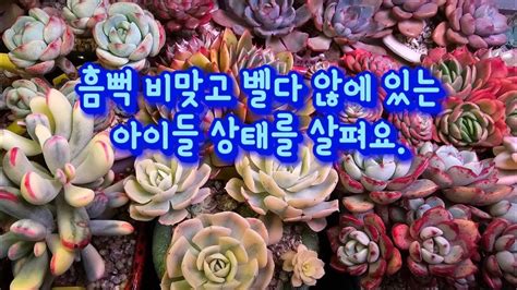 노숙도 못 시키고 비를흠뻑 맞은 아이들~ Youtube