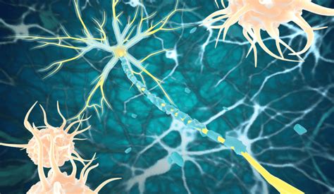 Licia Rivoltino Explains About Systemic Immunity Cce Lecture Series