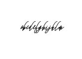 Monica Elegant Bold Slant Otf Font What Font Is