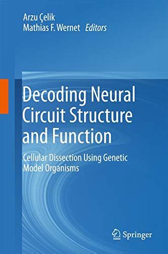 Buy Decoding Neural Circuit Structure And Function Book Online At Low Prices In India Decoding
