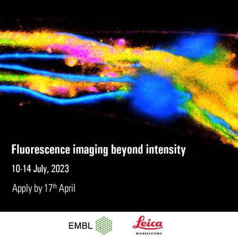 Florian Eich On Linkedin Fluorescence Imaging Beyond Intensity