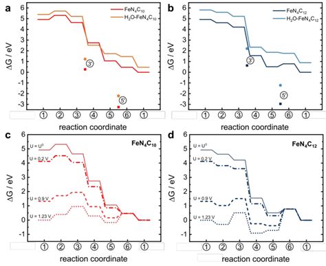 Thermodynamic Profiles Of The Catalyst Models A B Relative Gibbs Download Scientific