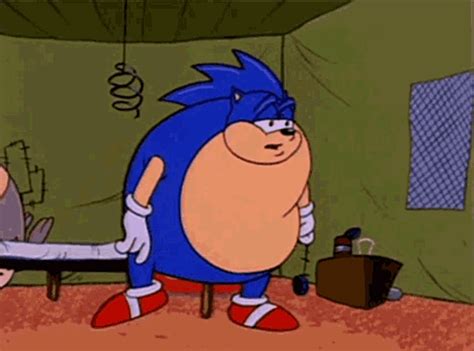 Fat Sonic The Hedgehog 