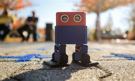 Bee Bot And Blue Bot Code And Create