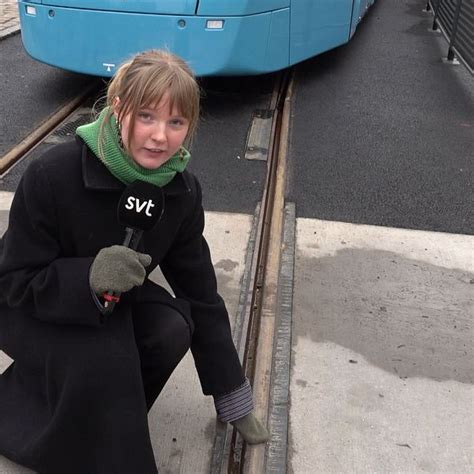 Grafik Så Rörde Sig Anton Lundin Pettersson Vid Dådet På Kronanskolan