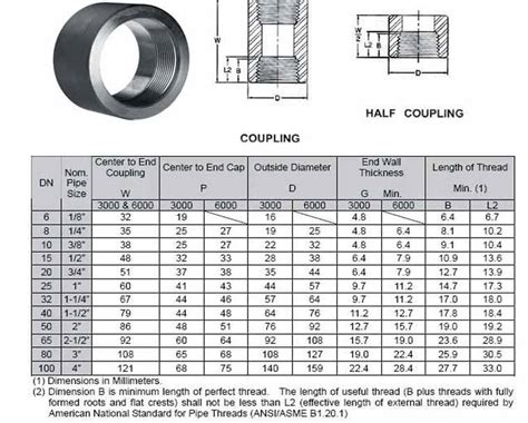 Forged Fittings And Socket Weld Threaded Steel Fittings Manufacturer