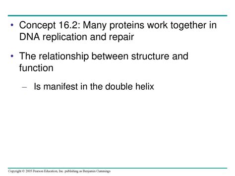 The Molecular Basis Of Inheritance Ppt Download