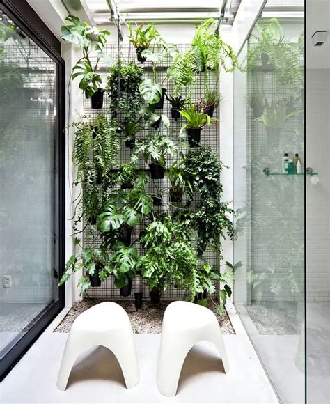 Best Bathroom Plants To Decorate Your Modern Bath With Greenery