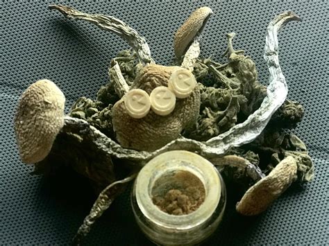 Dmt Thc Xtc And Shroomies Rdrugsarebeautiful