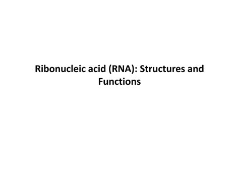SOLUTION Lecture Rna Structure And Functions Studypool