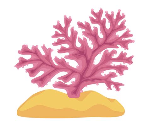 Pink Seaweed Plant 4713690 Vector Art At Vecteezy