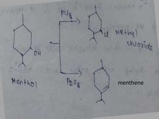 Menthol Pptx