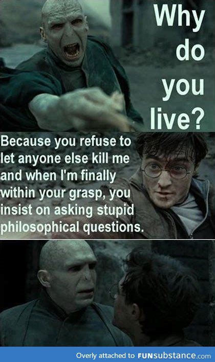 Harry Potter Voldemort Memes 50 Best And Funny Lord Voldemort Memes