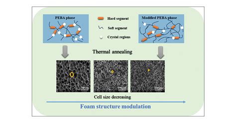 Cell Structure Variation Of Long Chain Branched Polyether Block Amide Regulated By