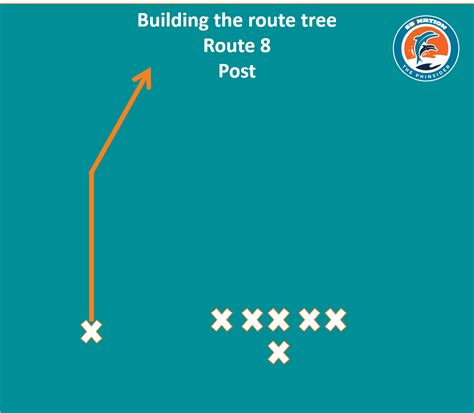 Football 101 Wide Receiver Route Tree The Phinsider