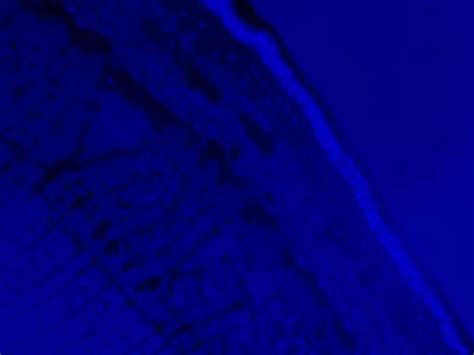 Refurbished Zeiss Axio Observer 7 Microscope For Sale Dotmed Listing 4974570