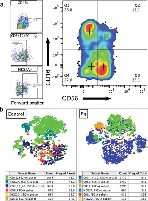 Representative Manual Gating Strategy Performed With Flowjo V103