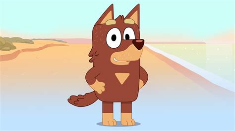 Celebrating The Dads Of Bluey Bluey Official Website