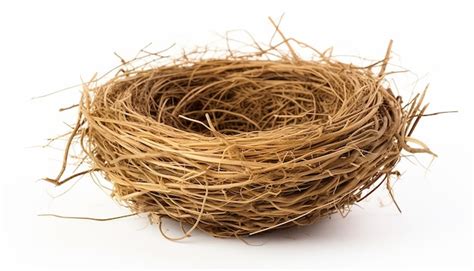 Premium Ai Image Birds Nest In Isolation
