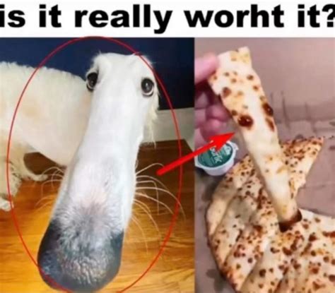 Lighthouse Redacted On Tumblr