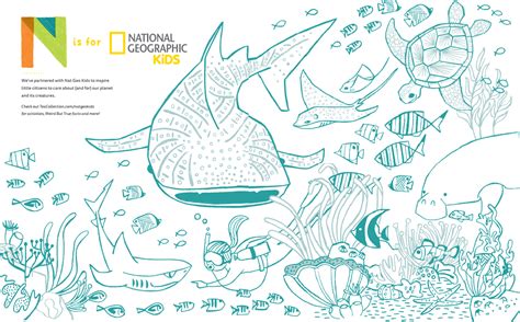 Final Activity Tea Collection Blog Tea Collection