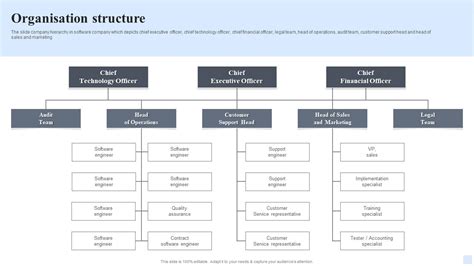 Organisation Structure Software Consultancy Services Company Profile