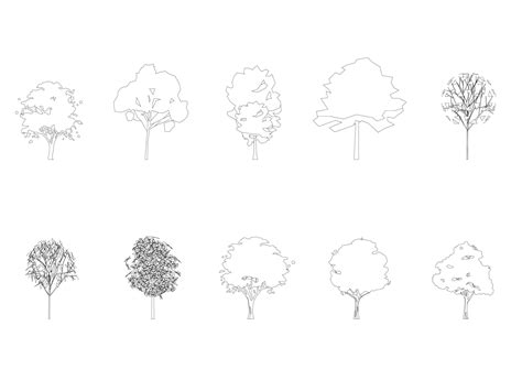 Tree Line Drawing Side View Graphics Trees Elements Single Object