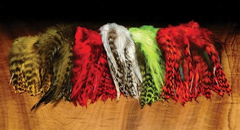 Saddles Hackles And Capes Clousers Fly Shop