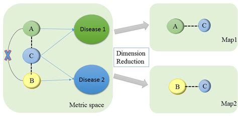 Explanation Of Non Metric Similarity The Example Illustrates How