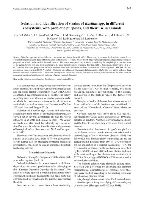 Pdf Isolation And Identification Of Strains Of Bacillus Spp In Different Ecosystems With