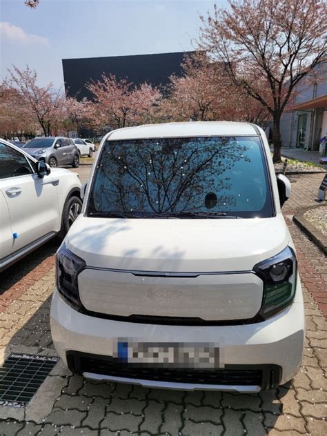 2023 기아 더뉴 레이 시그니처 풀옵 계약과 출고 이야기 레인보우 썬팅 Iris V90 초보운전 자석 스티커 사이즈