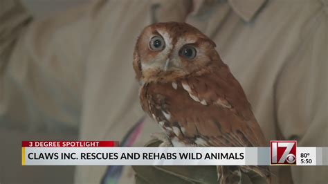 3 Degree Spotlight Claws Inc