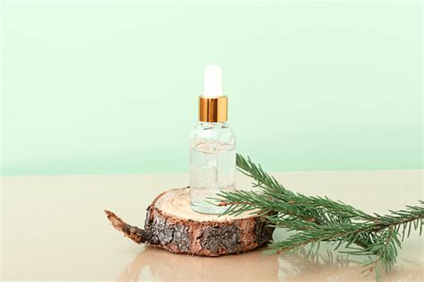 녹색 전나무 가지가있는 연한 녹색 배경에 나무 스탠드에 점적기가있는 투명한 유리로 만든 화장품 병 천연 침엽수 림 유기농 화장품 신체 및 얼굴 관리 0명에 대한 스톡 사진