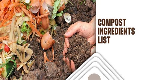 Compost Ingredients List For Composting Made Easy