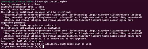 Nginx 설치하기 Spring Boot EC 와 연결