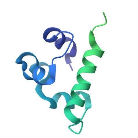 Rcsb Pdb 8zvi Structure Of The Bacteriophage T5 Capsid