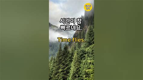 우선 듣기만 하세요ㅣ짦고 쉬운ㅣ기초영어회화 100문장ㅣ생활 필수영어회화 L 미국인이 매일쓰는 생활영어ㅣ영어반복듣기ㅣ왕초보 영어