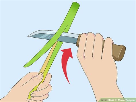 How To Make Papyrus With Pictures Wikihow