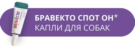 БРАВЕКТО® - жевательная таблетка для защиты от блох и клещей