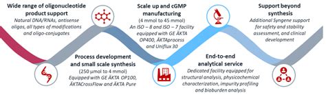 Oligonucleotide Synthesis Syngene