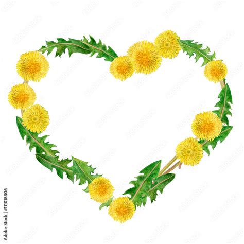Watercolor Drawing Of Spring Flowers Taraxacum Im Heart Shape Hand