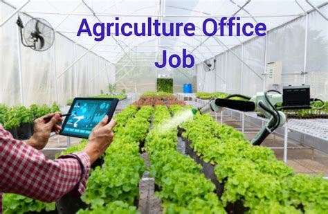 Odisha Agriculture Office Recruitment 2024 10th2 Pass Apply For