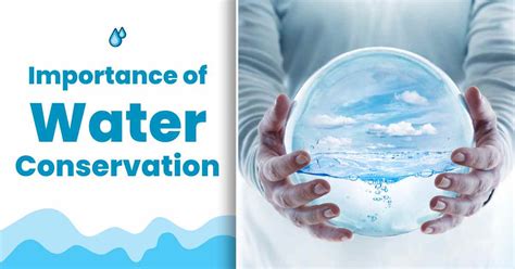 Save Water Save Earth Essay In Hindi
