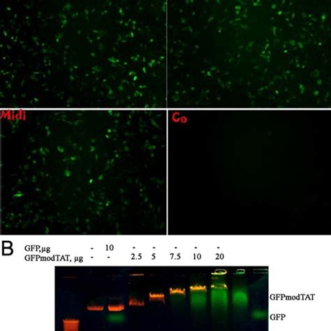 Schematic View Of A Miniprep Assisting Instrument Assembly A Download Scientific Diagram